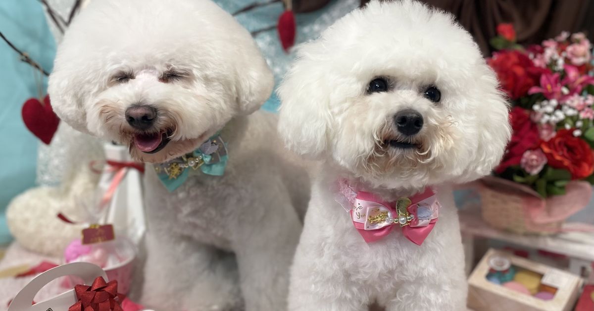 KENCHERRY FAMILY💕