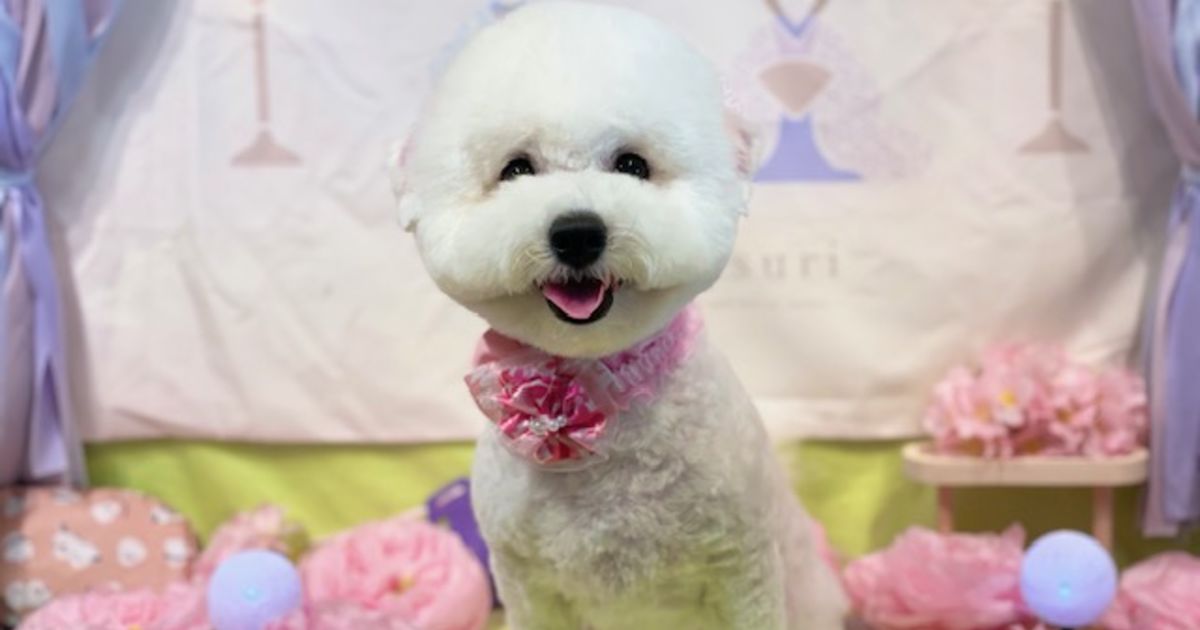 KENCHERRY FAMILY💕