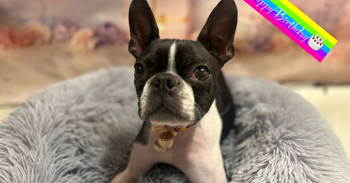 11月Birthday🎂Part.3